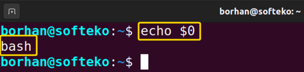 What is Bash in Linux? [Running, Finding & Making] - LinuxSimply