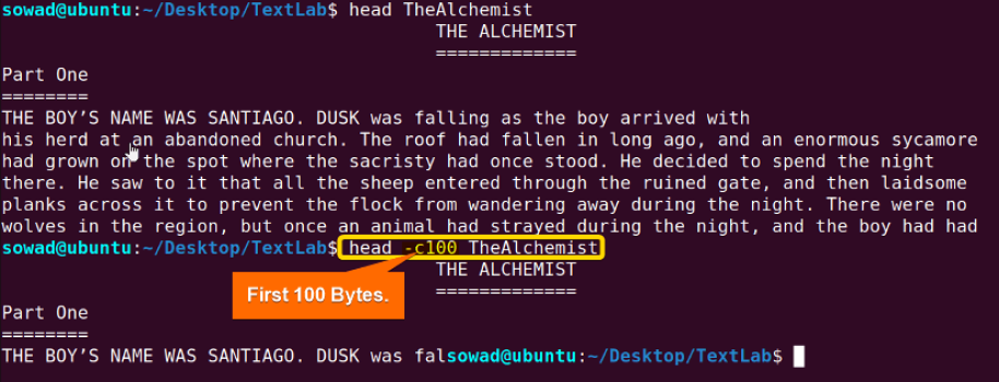 The “head” Command in Linux [7 Practical Examples] - LinuxSimply