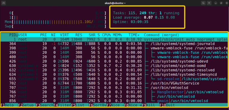 The “htop” Command in Linux [7 Practical Examples] - LinuxSimply