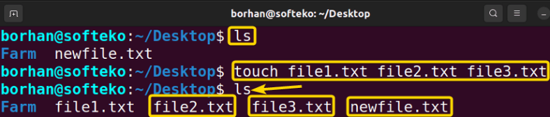 The “touch” Command in Linux [8 Practical Examples]