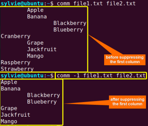 The “comm” Command in Linux [10 Practical Examples]