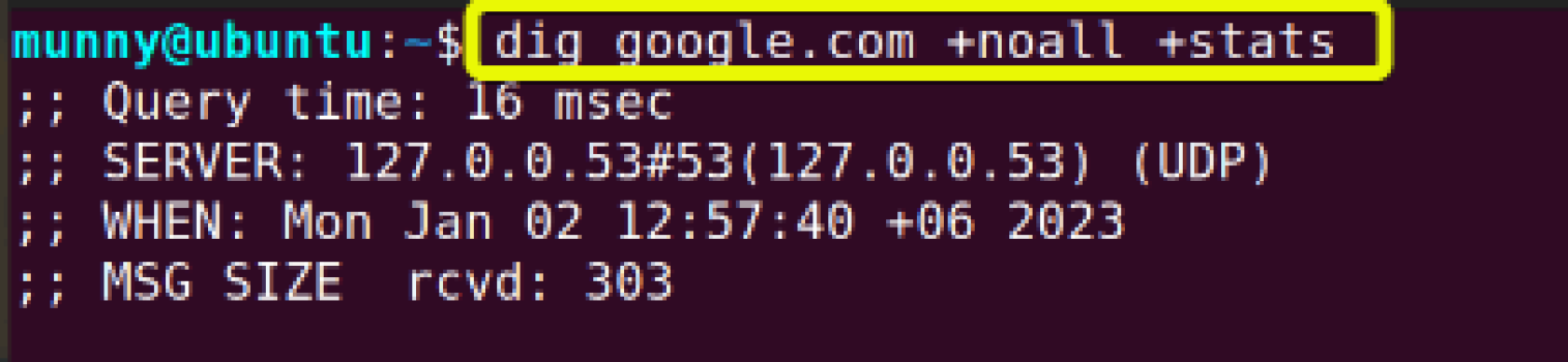 The “dig” Command in Linux [10 Practical Examples]