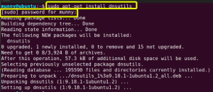 The “dig” Command in Linux [10 Practical Examples]