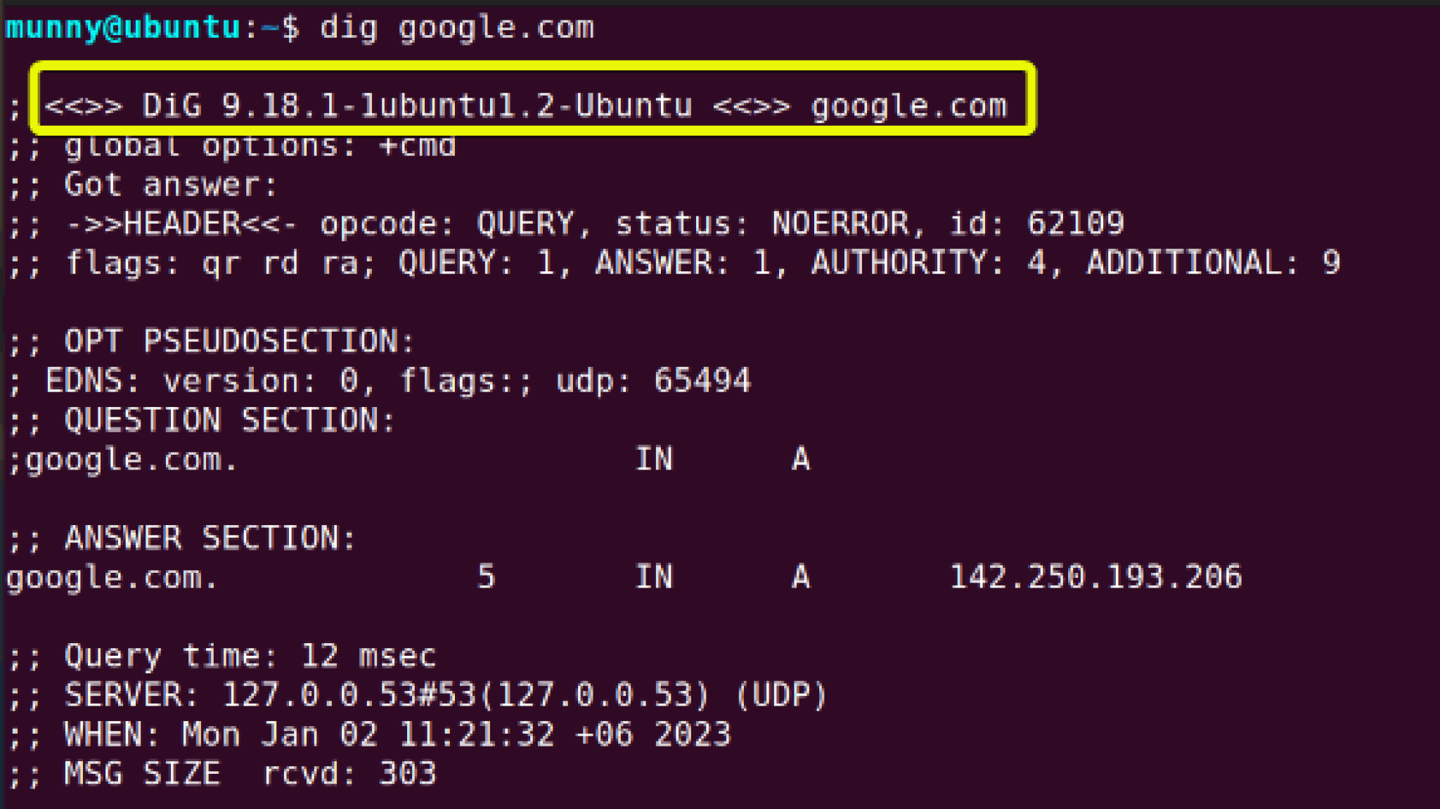The “dig” Command in Linux [10 Practical Examples]