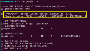 The “dig” Command in Linux [10 Practical Examples]
