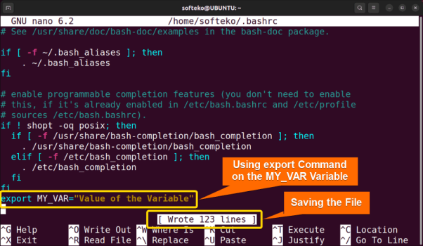 The Environment in Linux [An Ultimate Guide]