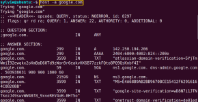 The “host” Command in Linux [10 Practical Examples]