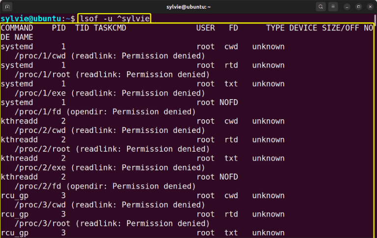 The “lsof” Command in Linux [8 Practical Examples]