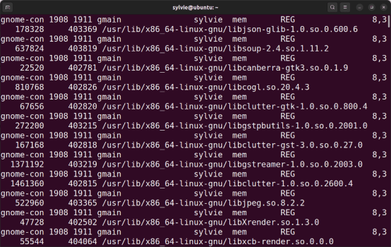 The “lsof” Command in Linux [8 Practical Examples]