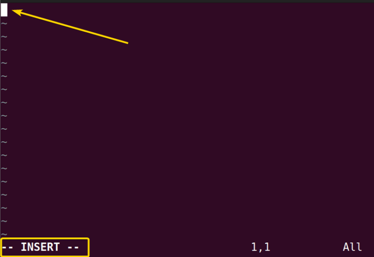 The “vim” Command in Linux [8 Practical Examples]