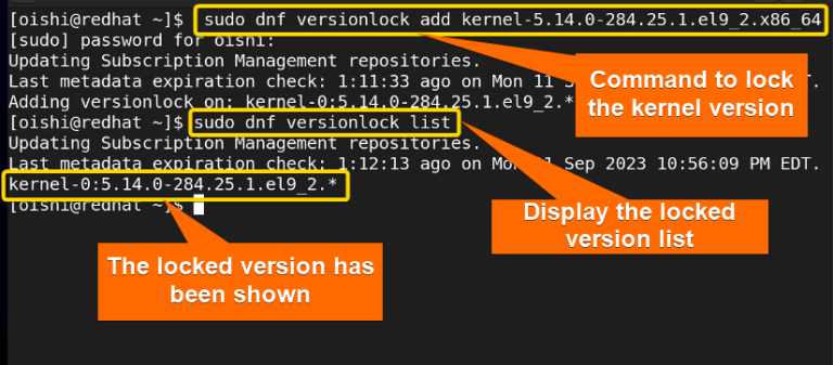 How to Use DNF Package Manager in Linux? [A Complete Guide] - LinuxSimply
